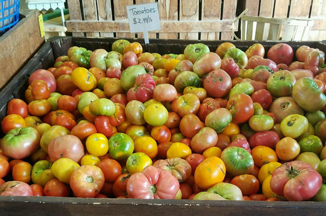 Schaefer Farms | Hunterdon County, New Jersey