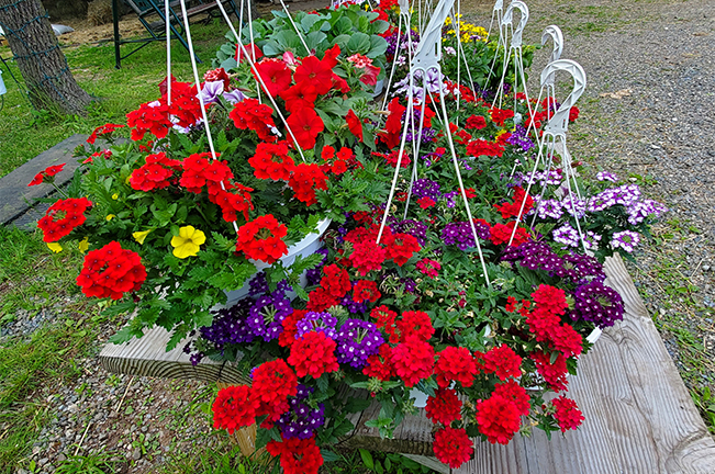 Schaefer Farms | Hunterdon County, New Jersey