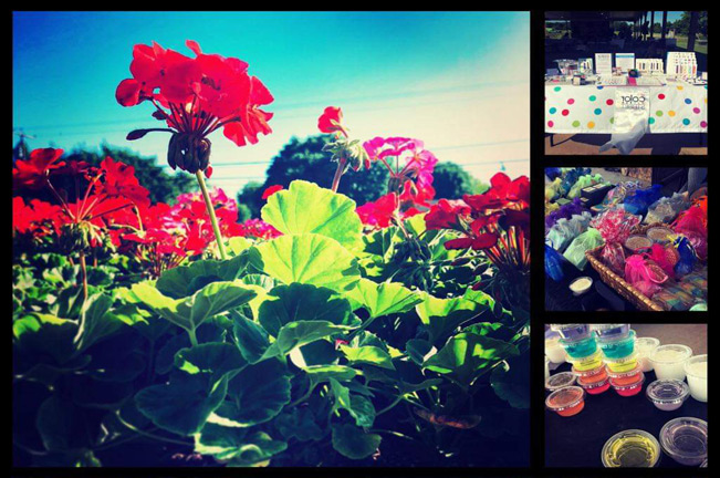 Schaefer Farms | Hunterdon County, New Jersey